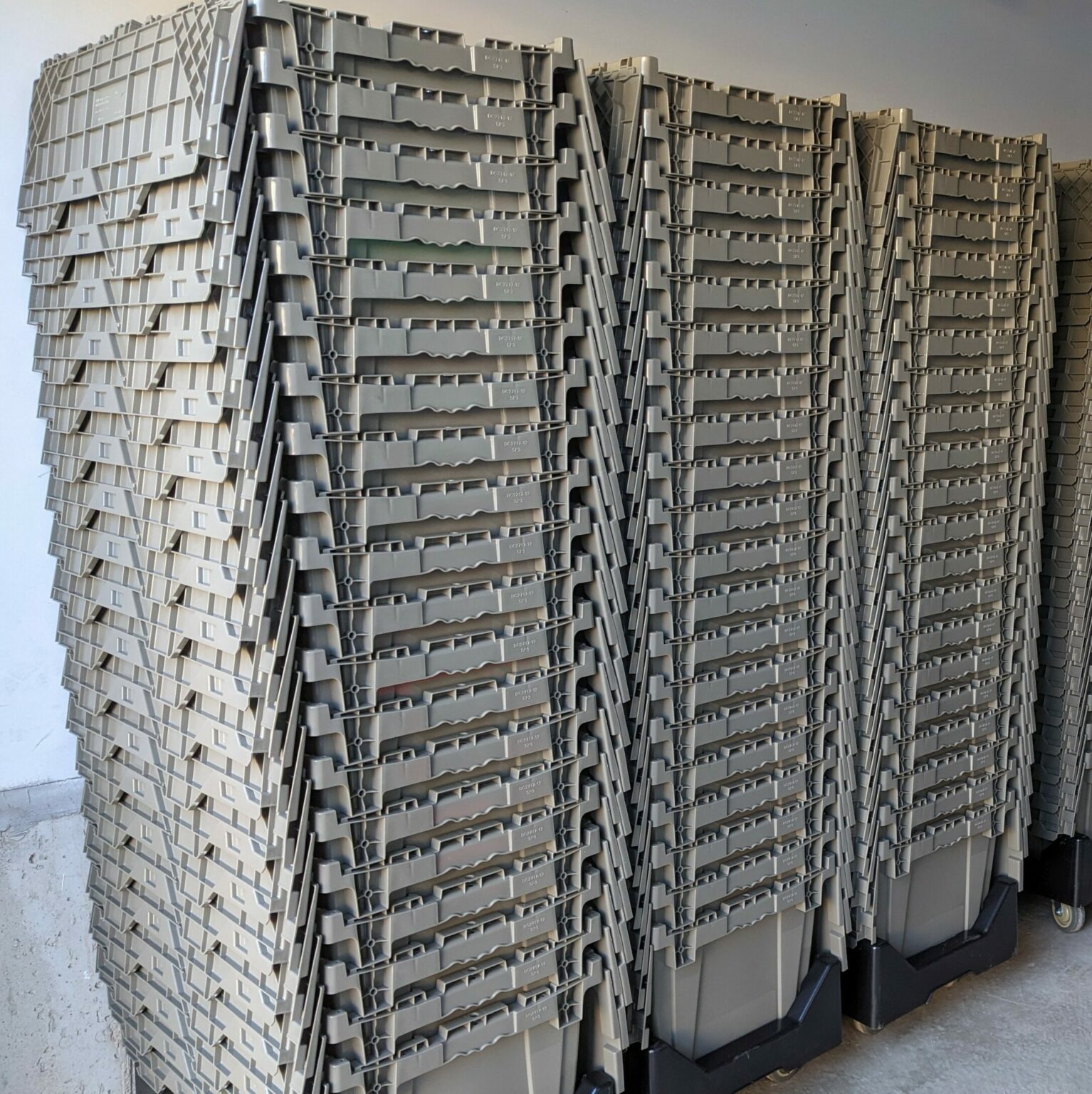 Totes - Dragon Totes Moving Tote Rental - Plastic moving box